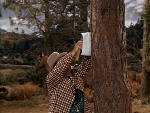 Special LG Episode Summary, 2010 - Bonanza Boomers